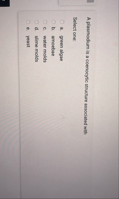Solved A plasmodium is a coenocytic structure associated | Chegg.com