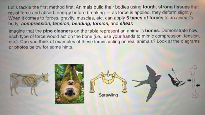 Solved Let's tackle the first method first. Animals build | Chegg.com