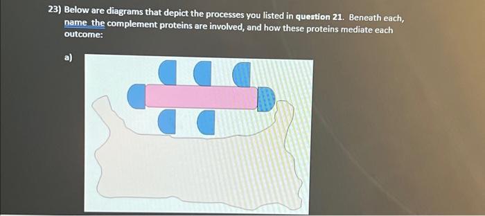 Solved 21) List the three outcomes of the complement | Chegg.com
