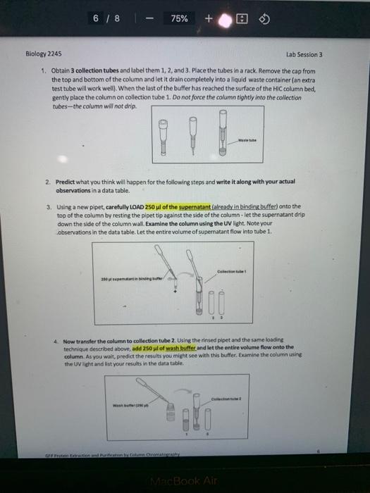 Solved Biology 2245 Lab Session 3 Title: GFP PROTEIN | Chegg.com