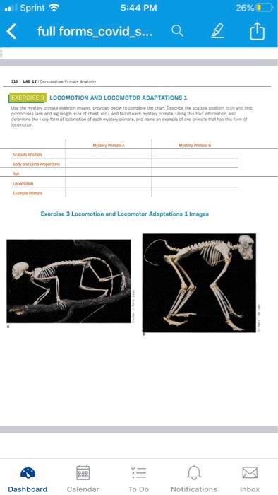 Use the mystery primate skeleton images provided | Chegg.com