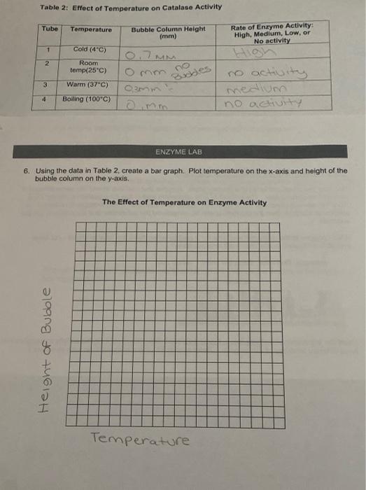 Solved Table 2: Effect of Temperature on Catalase Activity | Chegg.com