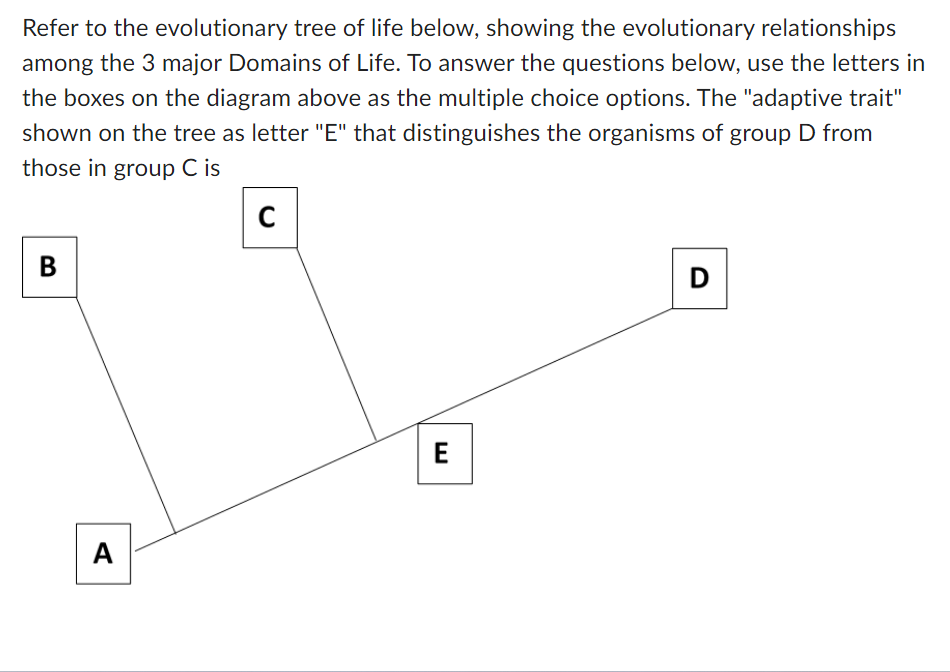 Solved Refer to the evolutionary tree of life below, showing | Chegg.com