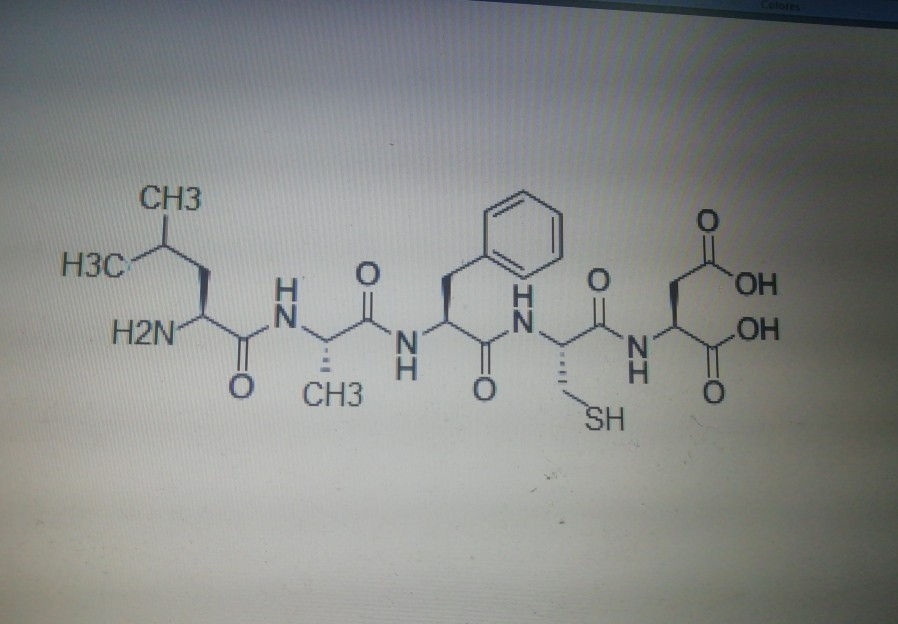 Solved Here it is the structure of a peptide a) What would | Chegg.com