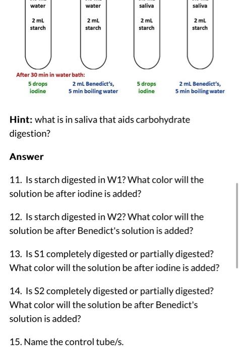 Solved Experiment 1: Carbohydrate Digestion - Chemical | Chegg.com
