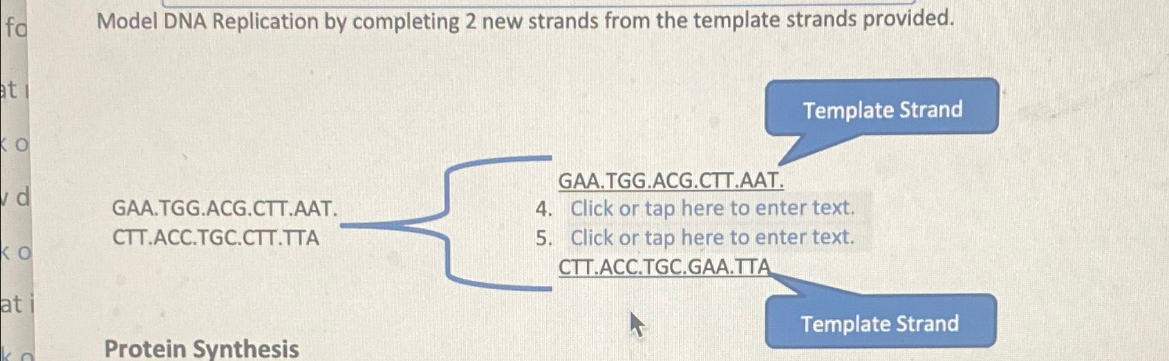 Solved Model DNA Replication by completing 2 ﻿new strands | Chegg.com