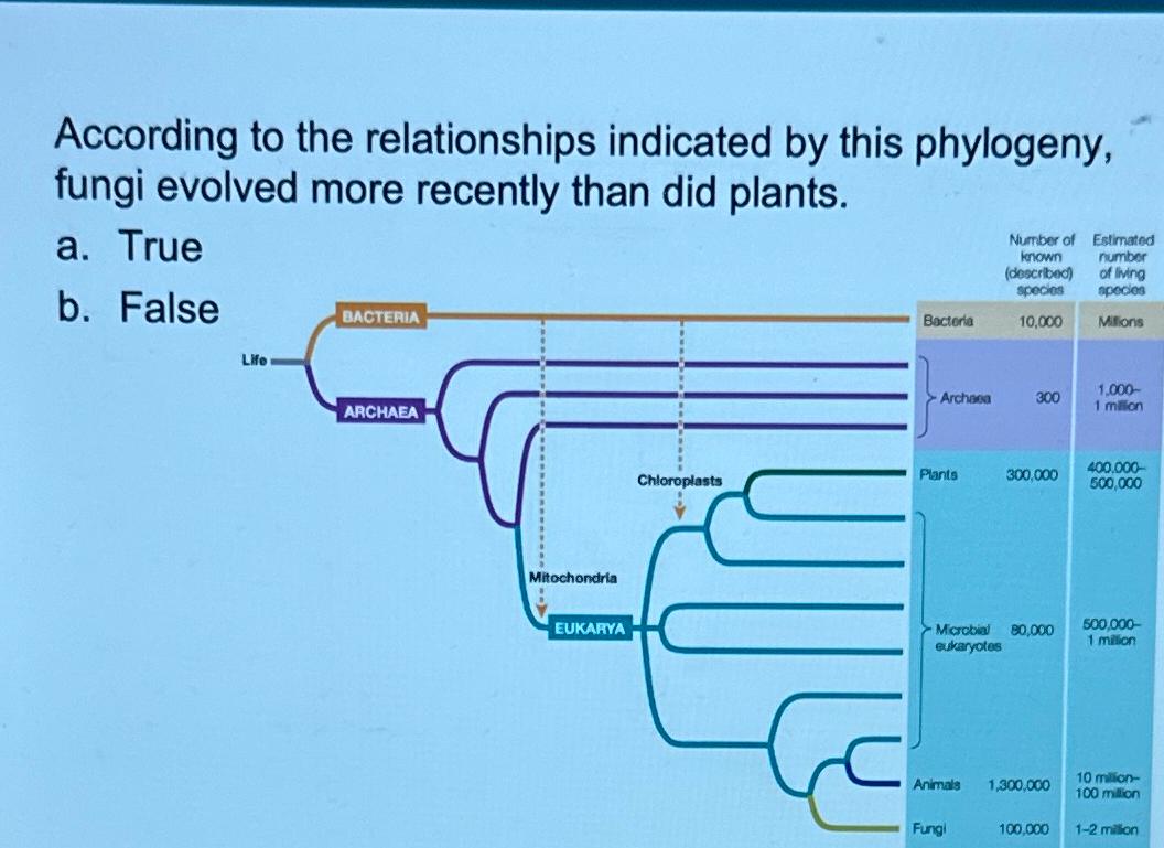 Solved According to the relationships indicated by this | Chegg.com