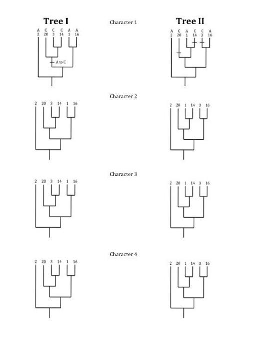 Solved Exercise. 3. Molecular Phylogeny at the Caminalcules | Chegg.com
