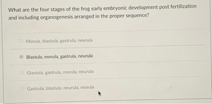 Solved What are the four stages of the frog early embryonic | Chegg.com