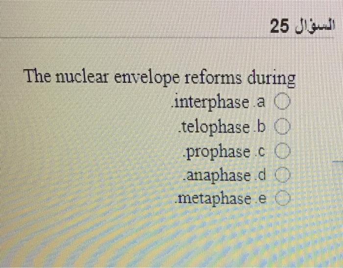 Solved 25 السؤال 2 The nuclear envelope reforms during | Chegg.com