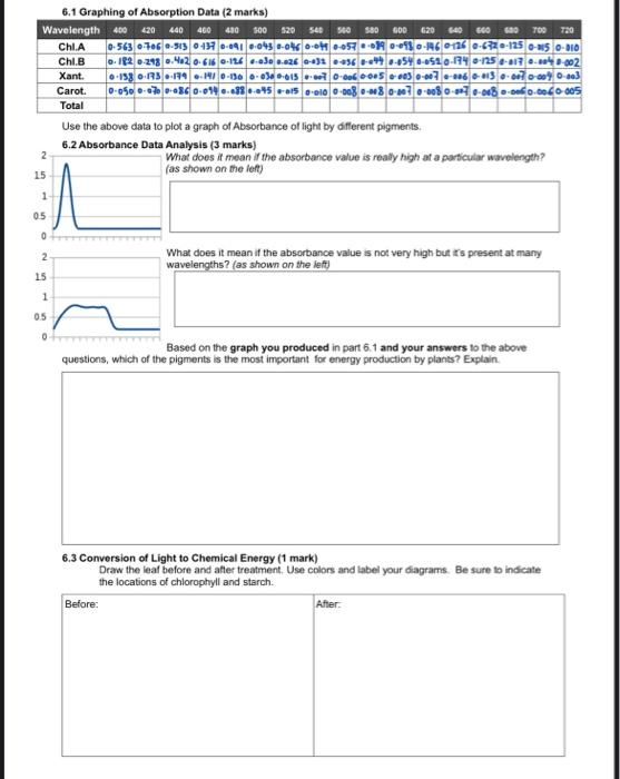6.1 Graphing of Absorption Data (2 marks) Use the | Chegg.com
