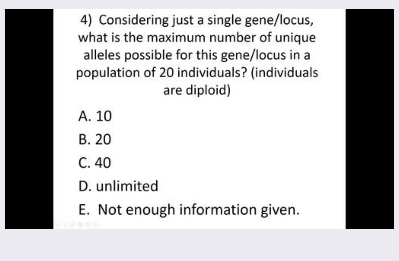 Solved Considering just a single gene/locus, ﻿what is the | Chegg.com