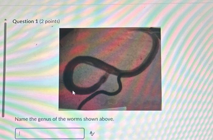 Solved Question 1 (2 points) Name the genus of the worms | Chegg.com