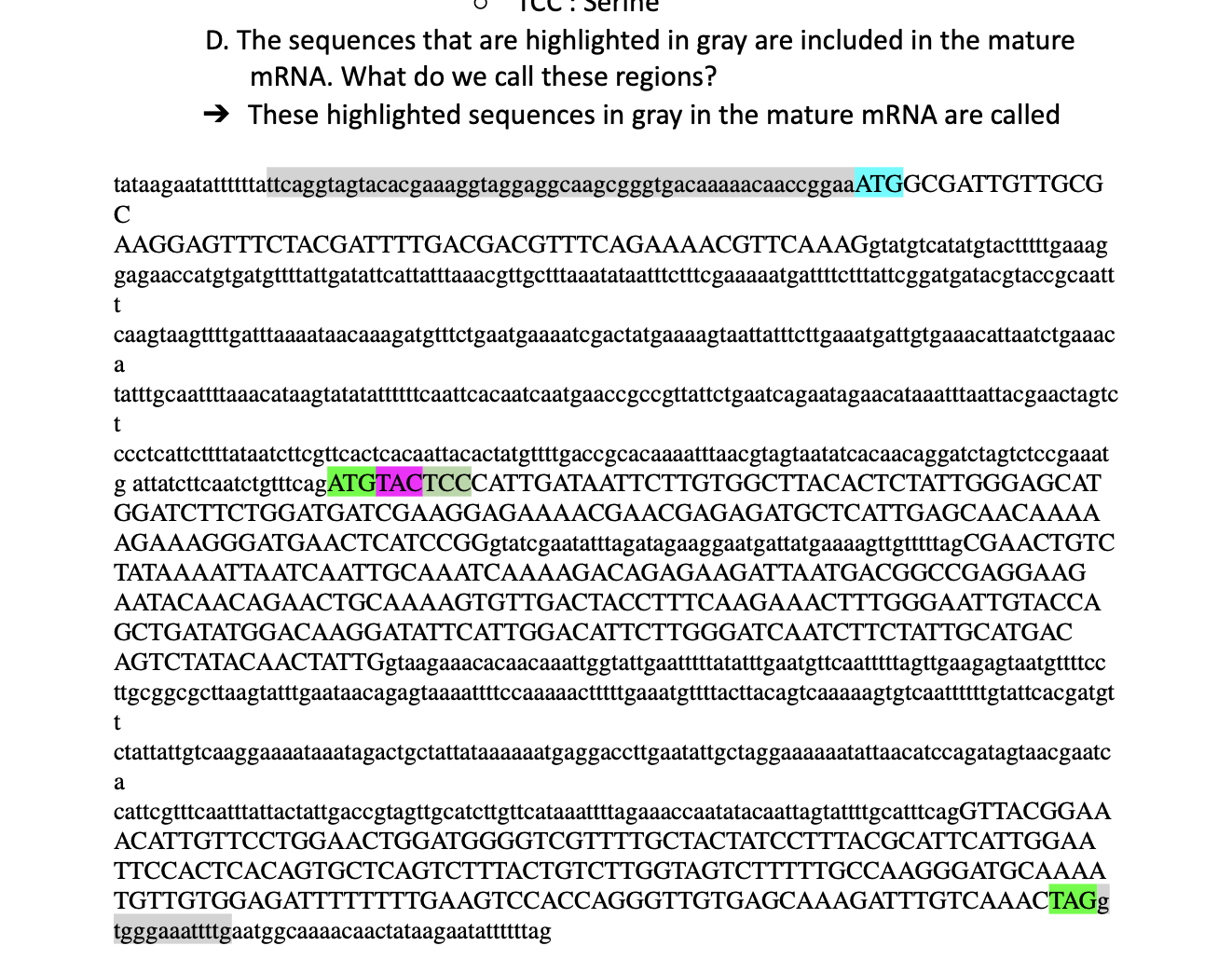 Solved D. ﻿The sequences that are highlighted in gray are | Chegg.com