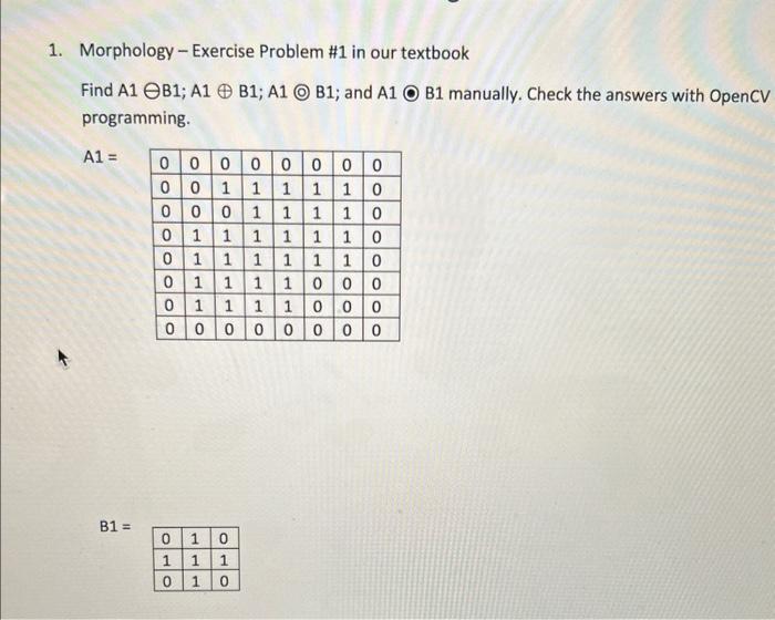 Solved Morphology - Exercise Problem \#1 in our textbook | Chegg.com