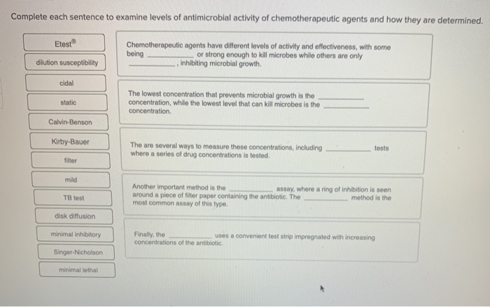 Solved Complete Each Sentence To Examine Levels Of Chegg solved-complete-each-sentence-to-examine-levels-of-chegg