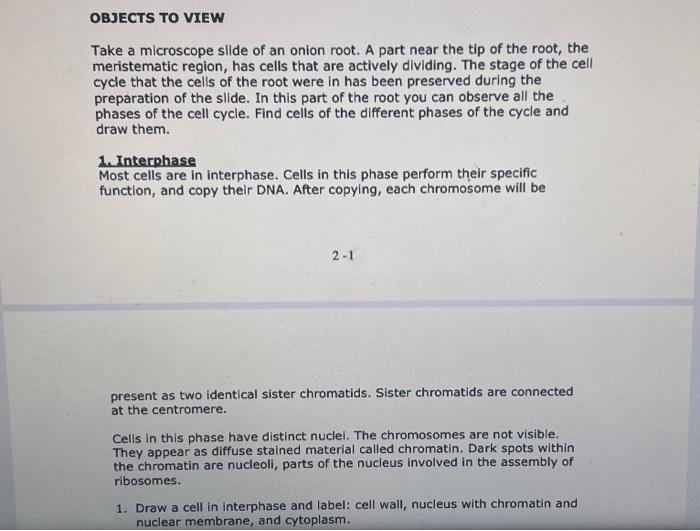 Solved THE DURATION OF THE PHASES OF THE CELL CYCLE | Chegg.com