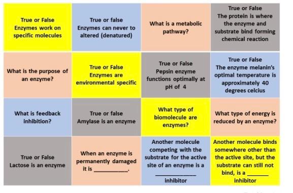 Solved True or False Enzymes work on specific molecules True | Chegg.com