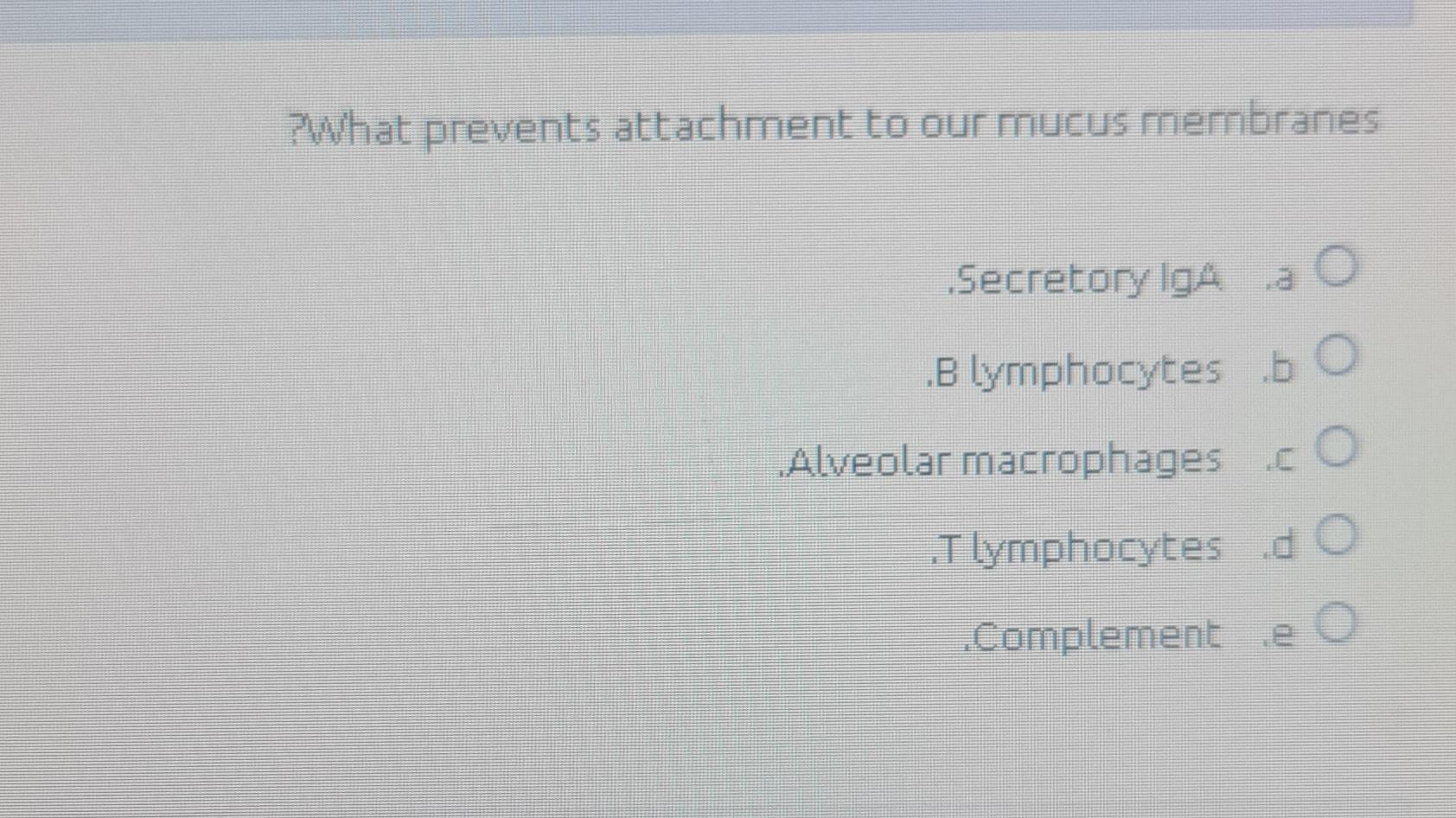 Solved What prevents attachment to our mucus | Chegg.com