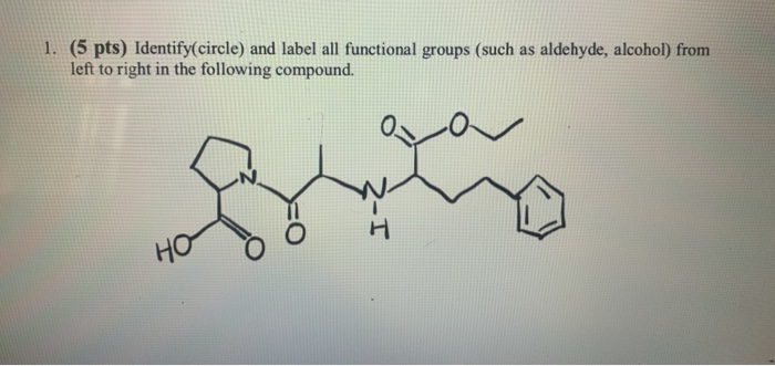 Solved Identify (circle) and label all functional groups | Chegg.com