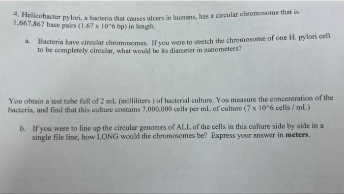 Solved 4. Helicobacter pylori, a bacteria that causes ulcers | Chegg.com