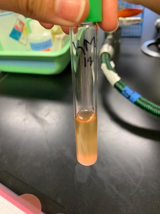 wusg.edu/d2/e/content/2329763/View | Chegg.com