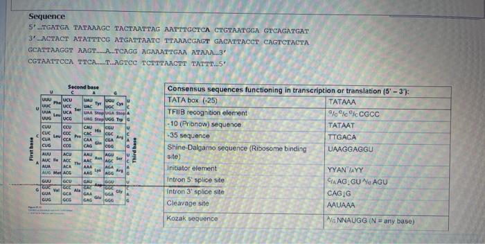 Solved Sequence 5. ...TGATGA TATAAAGC TACTAATTAG AAT TTGCTCA | Chegg.com