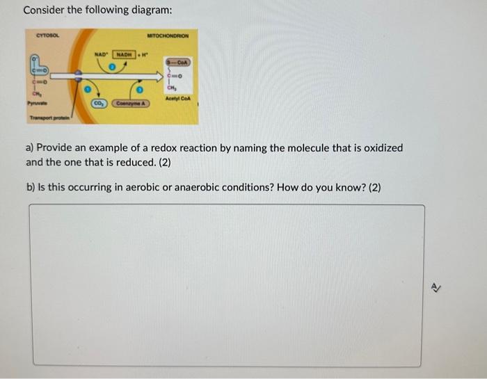 Solved Consider the following diagram: a) Provide an example | Chegg.com
