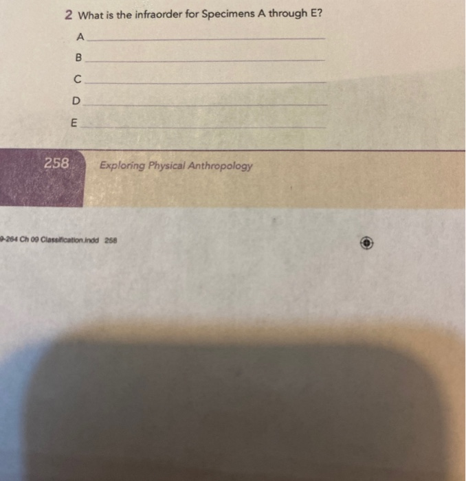 Solved 2 What is the infraorder for Specimens A through E? | Chegg.com