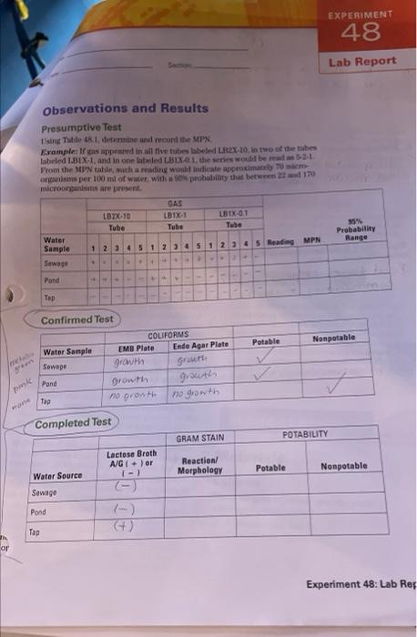 EXPERIMENT 48 Lab Report Observations and Results | Chegg.com