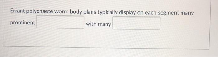 Solved Errant polychaete worm body plans typically display | Chegg.com