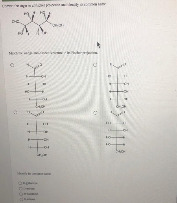 Solved Convert the sugar to a Fischer projection and | Chegg.com