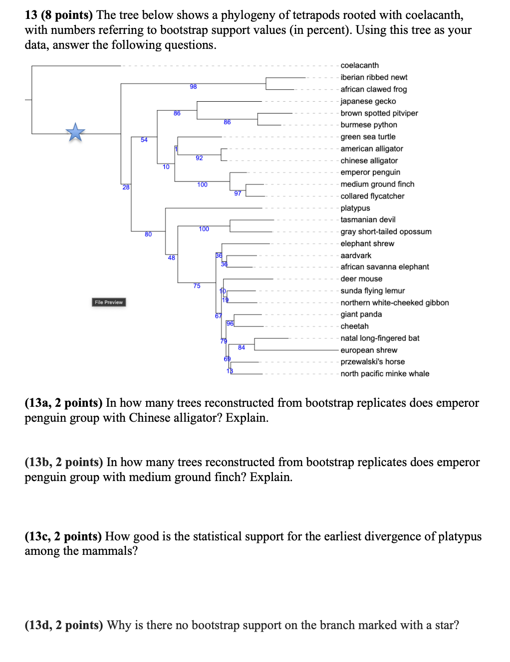 13 (8 ﻿points) ﻿The tree below shows a phylogeny of | Chegg.com