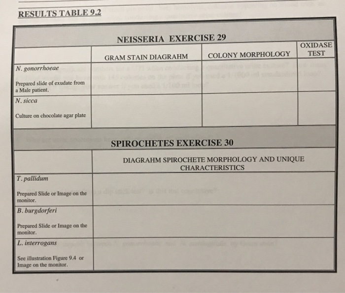 Solved: In Exercise 30. Neisseria, The Procedure Requires ... | Chegg.com