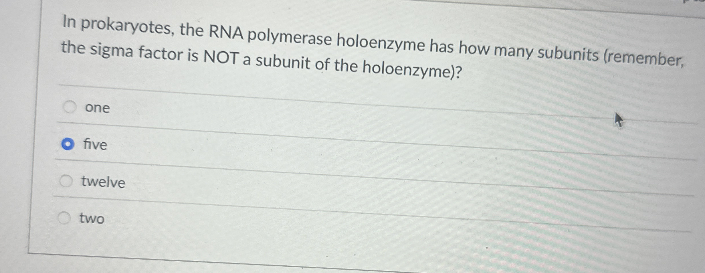 Solved In prokaryotes, the RNA polymerase holoenzyme has how | Chegg.com