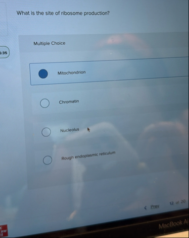 Solved What is the site of ribosome production?Multiple | Chegg.com