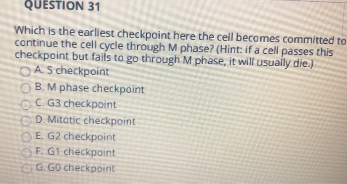 Solved QUESTION 31 Which is the earliest checkpoint here the | Chegg.com