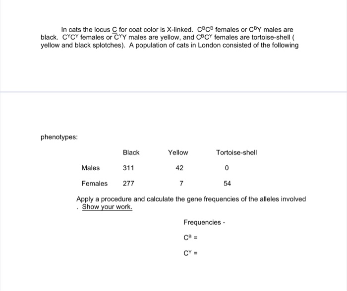 Solved In cats the locus C for coat color is X-linked. CBCB | Chegg.com