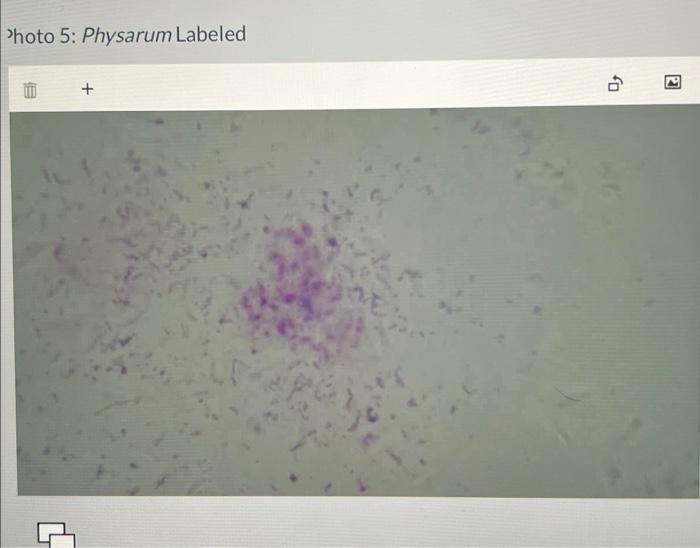 Solved Exercise 1 - Questions Question 1 What structures | Chegg.com