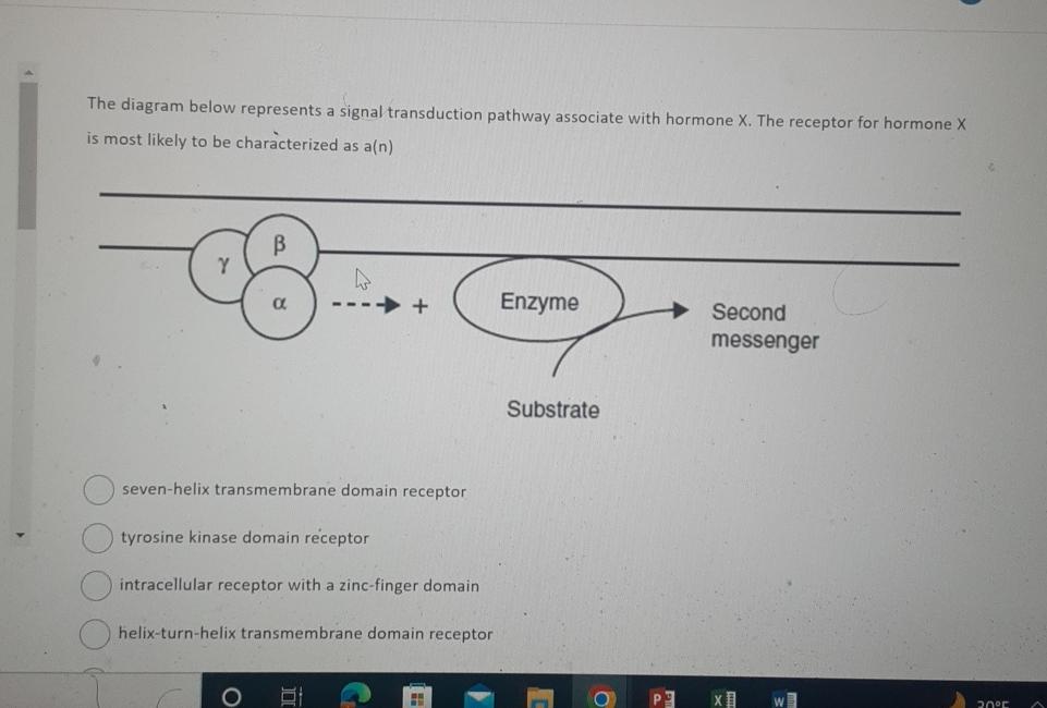 Solved The diagram below represents a signal transduction | Chegg.com