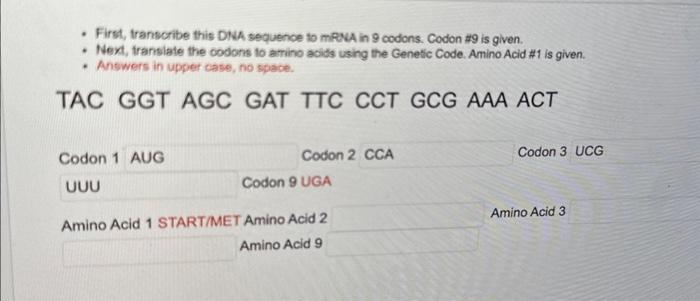 Solved - First, transcribe this DWA sequence to mRVA in 9 | Chegg.com