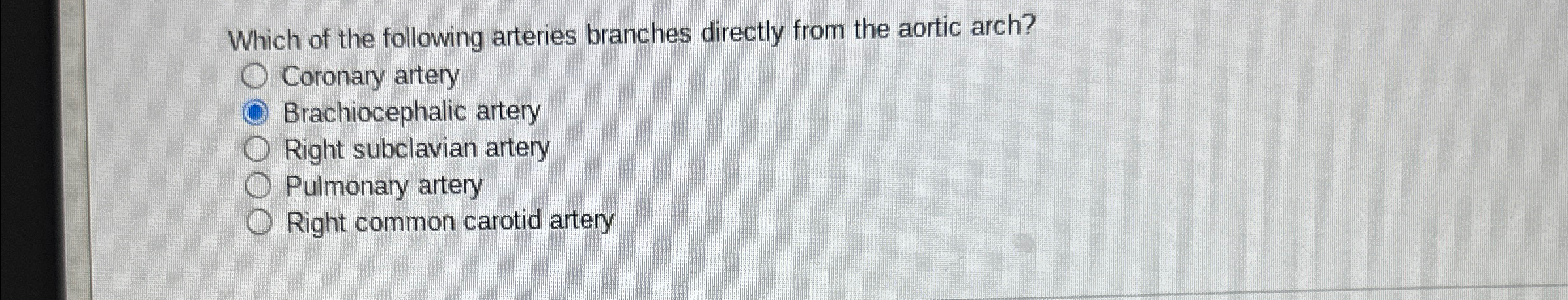 Solved Which of the following arteries branches directly | Chegg.com