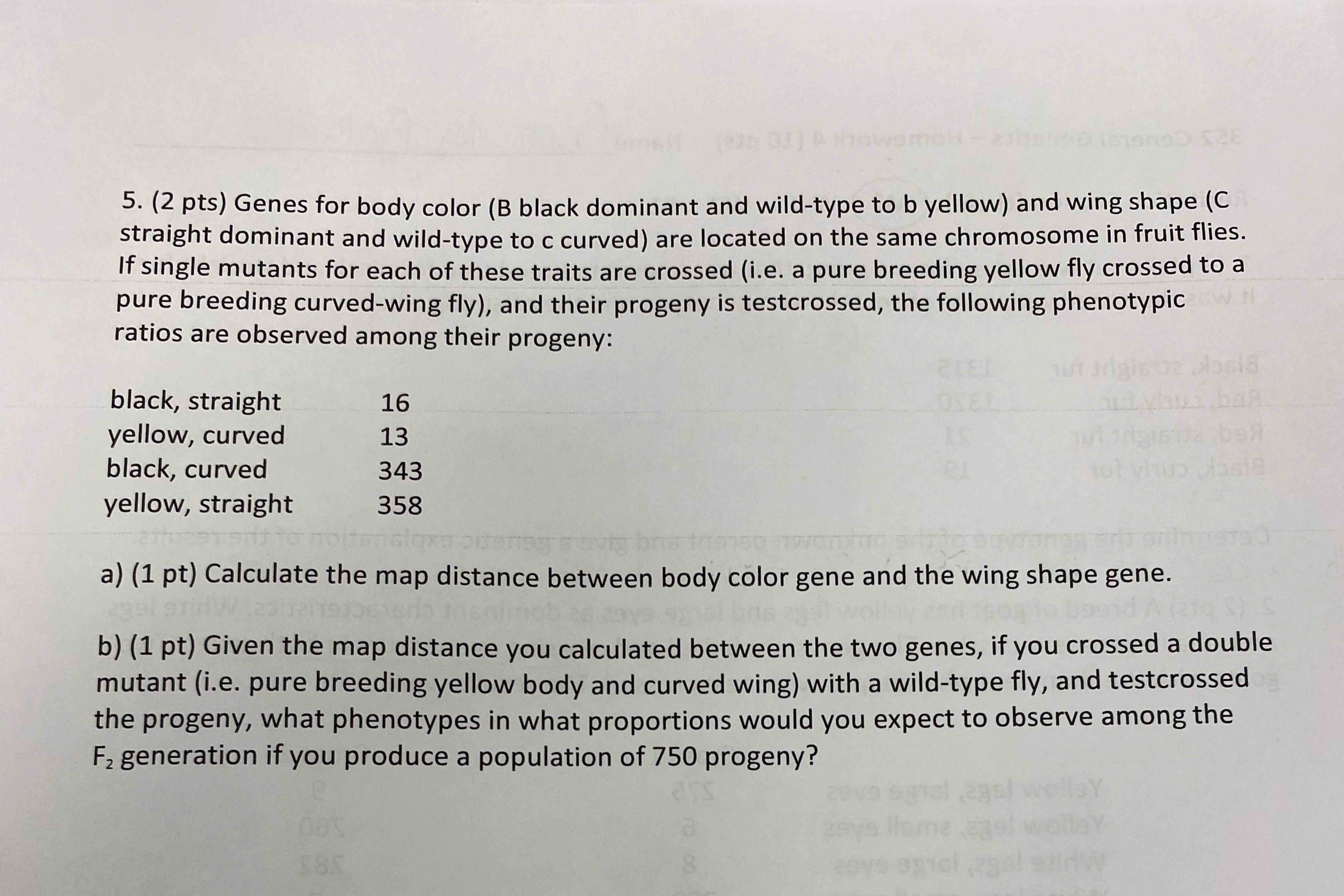 Solved ( 2 ﻿pts) ﻿Genes for body color (B black dominant and | Chegg.com