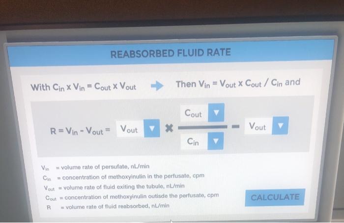 REABSORBED FLUID RATE With Cin X Vin - Cout * Vout | Chegg.com