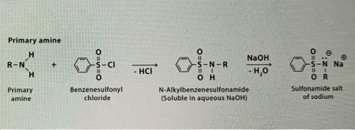 Solved In Hinsberg Reaction in the classification test for | Chegg.com