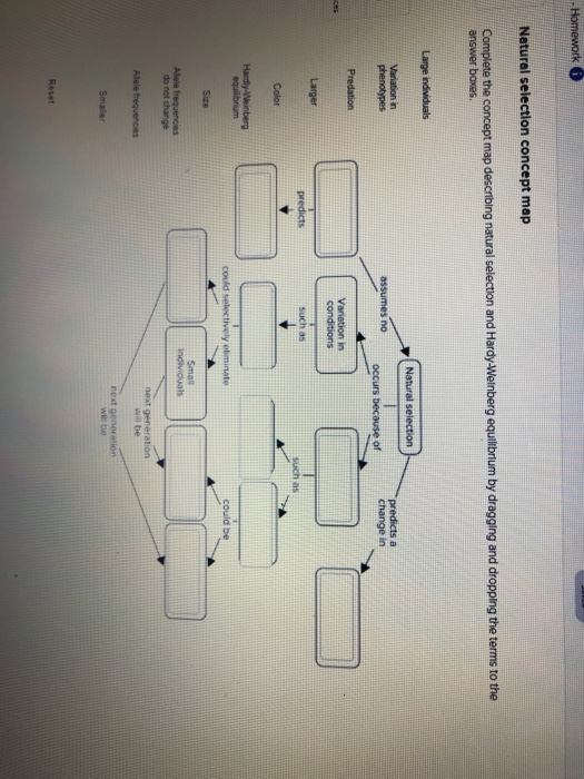 Solved Homework 0 Natural selection concept map Complete the | Chegg.com