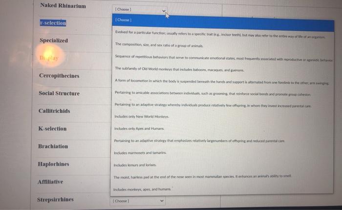 Solved Naked Rhinarium Choose Cho T-selection Evolved for a | Chegg.com