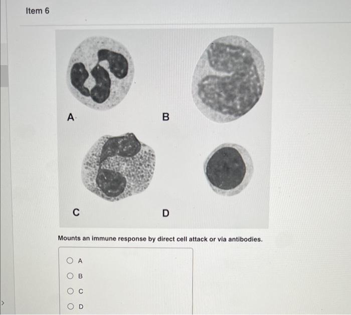 Solved Mounts an immune response by direct cell attack or | Chegg.com