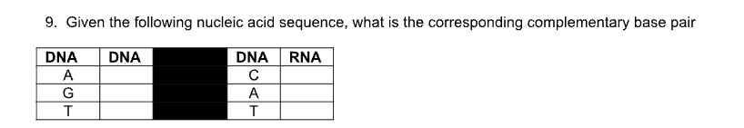Solved Given the following nucleic acid sequence, what is | Chegg.com