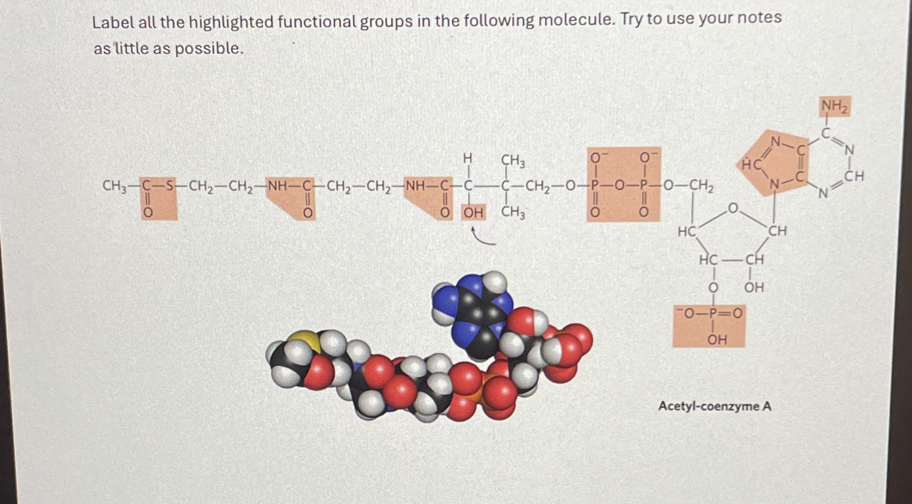 Solved Label all the highlighted functional groups in the | Chegg.com